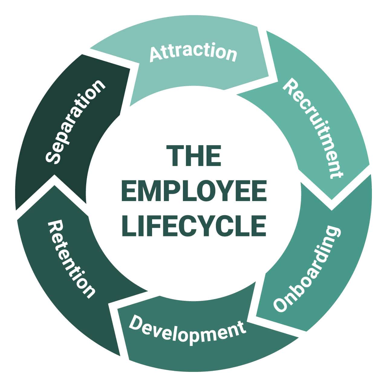 The 6 phases of the employee lifecycle