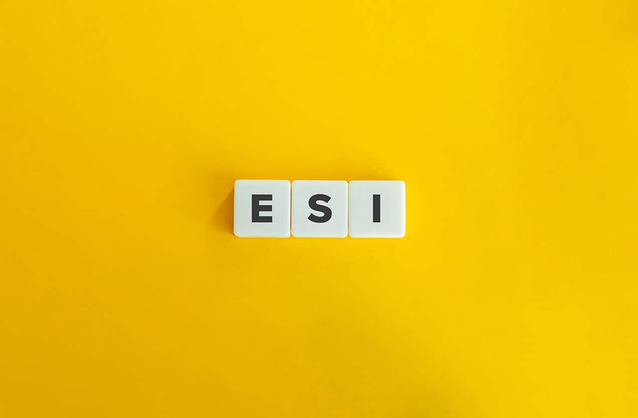 Employee Satisfaction Index (ESI): All about the key figure!